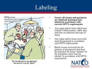 Organ Recovery & Preservation | PPT