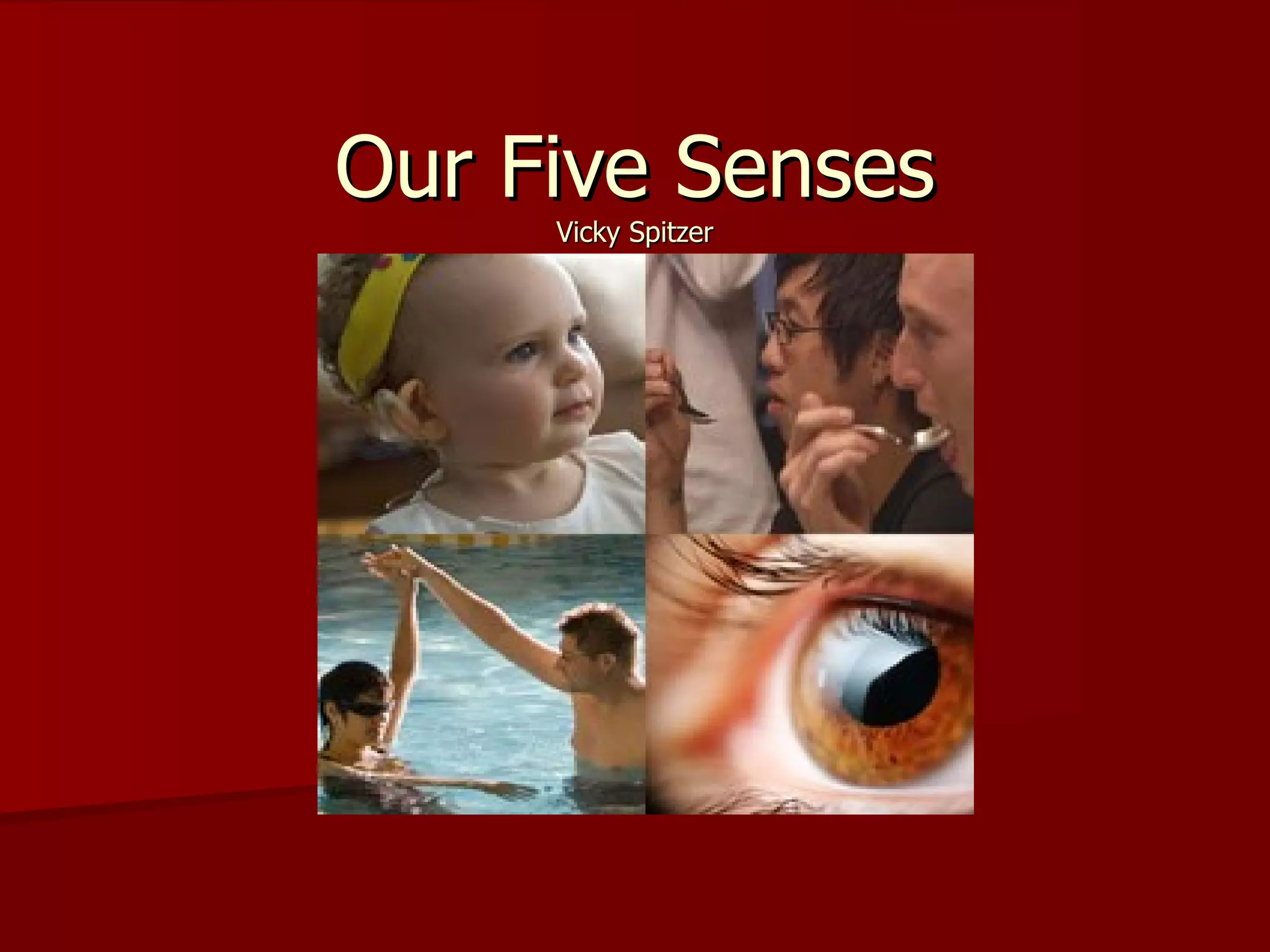 The Importance of Our Five Senses | PPT