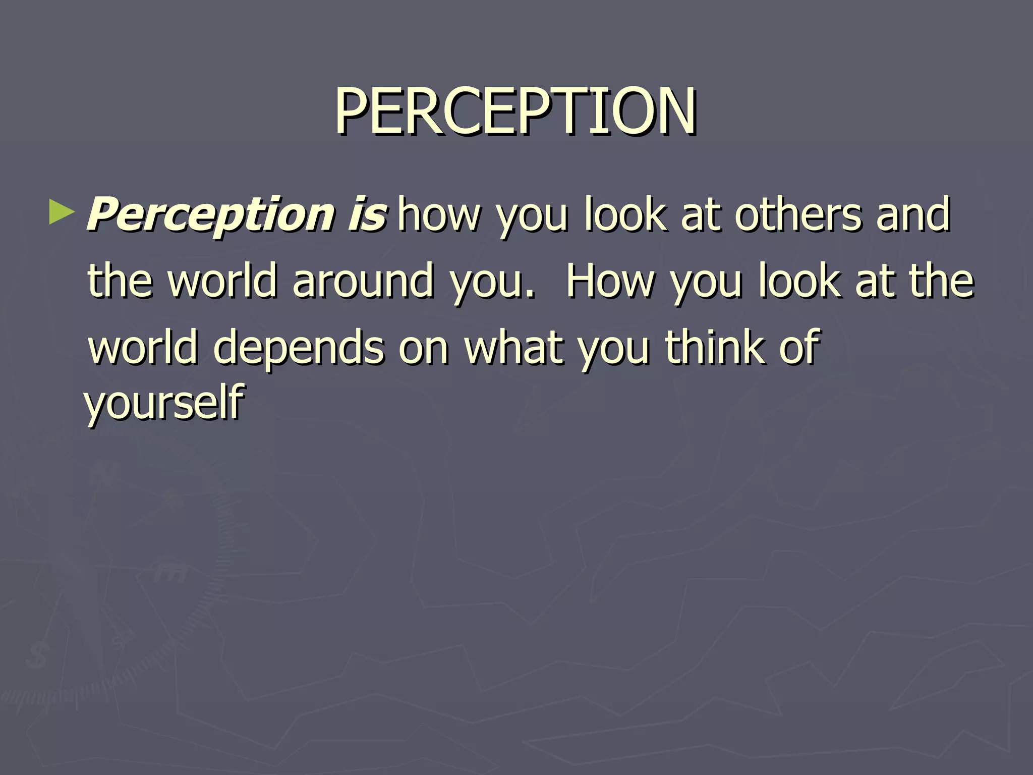 Perception | PPT
