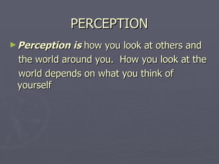Perception | PPT