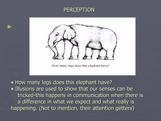 Perception | PPT