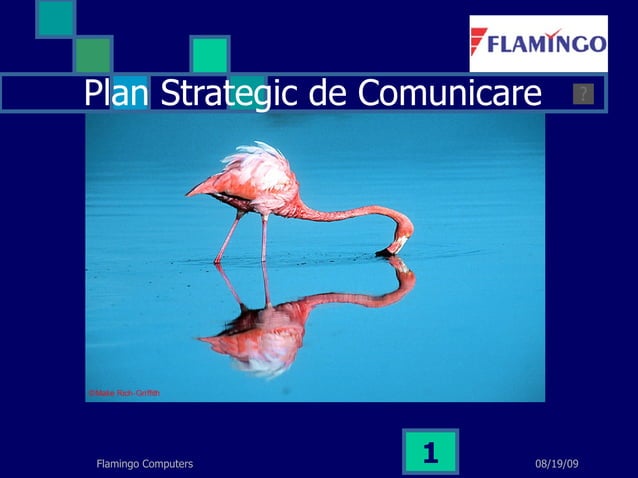 Plan strategic de comunicare pre-IPO | PPT