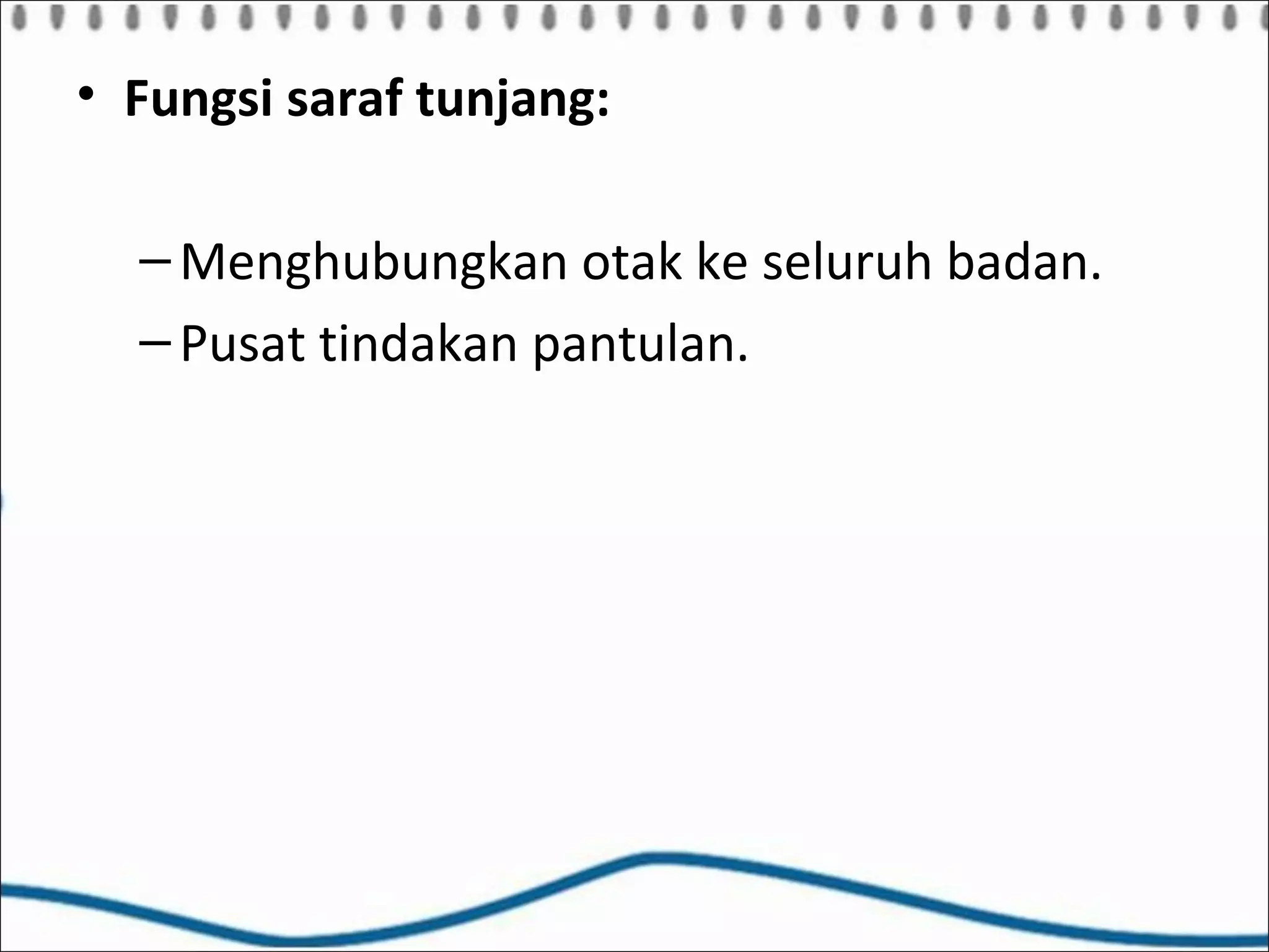Power Point Anatomi & Fisiologi (Sistem Saraf) | PPT