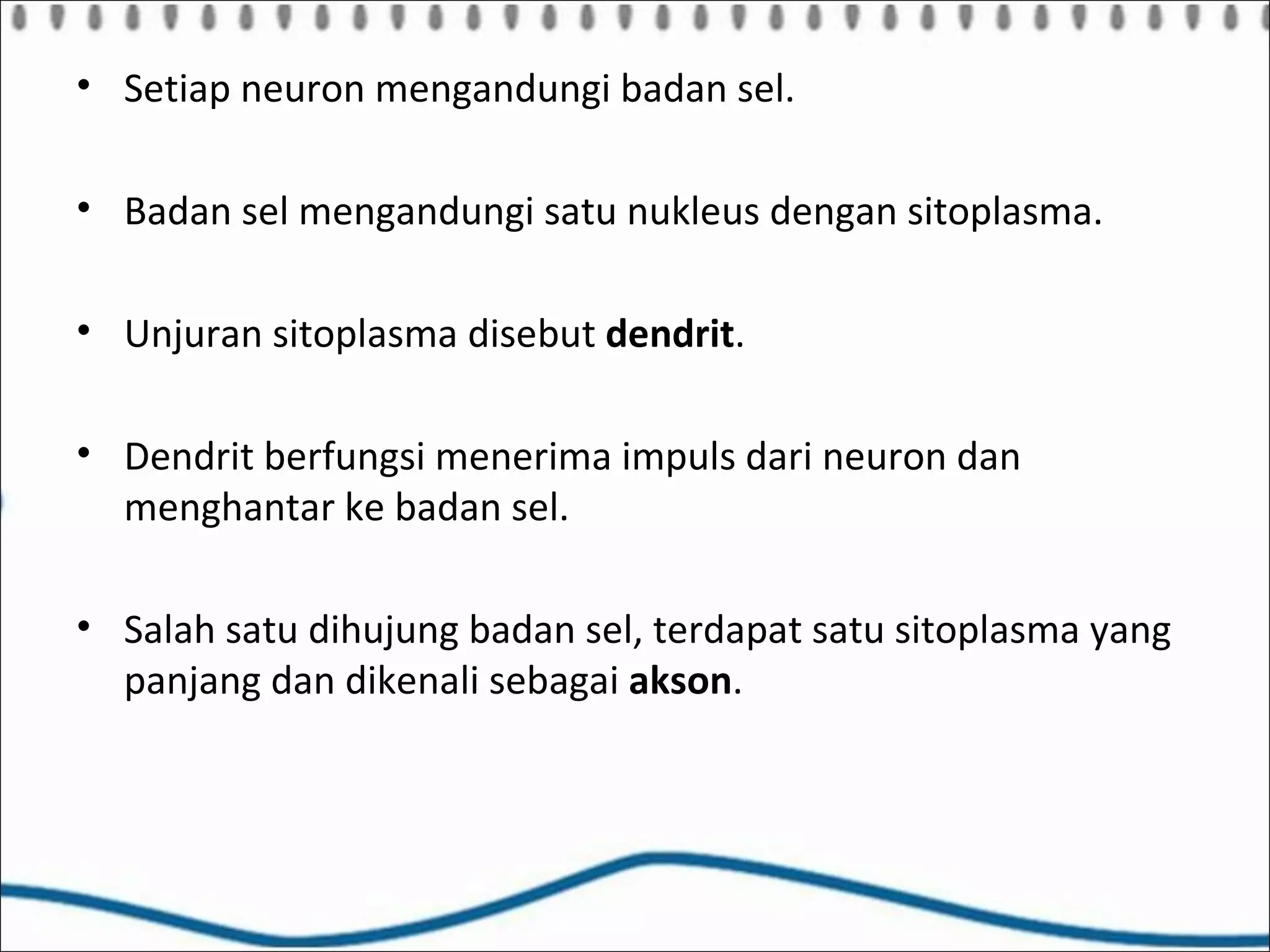 Power Point Anatomi & Fisiologi (Sistem Saraf) | PPT