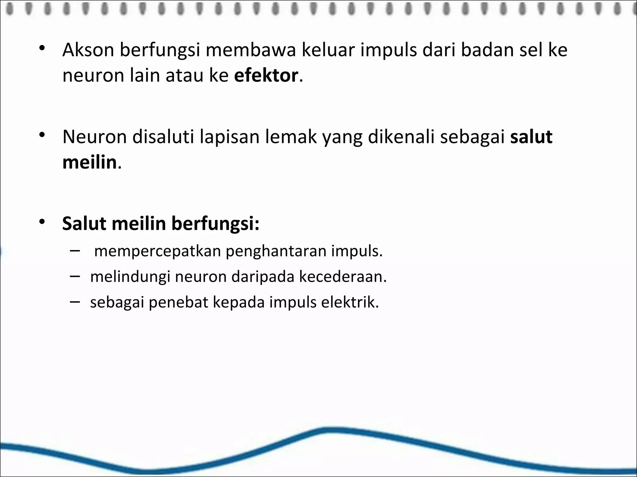 Power Point Anatomi & Fisiologi (Sistem Saraf) | PPT