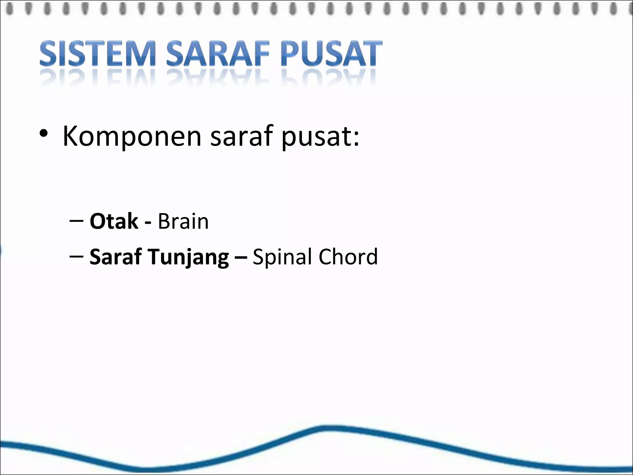 Power Point Anatomi & Fisiologi (Sistem Saraf) | PPT
