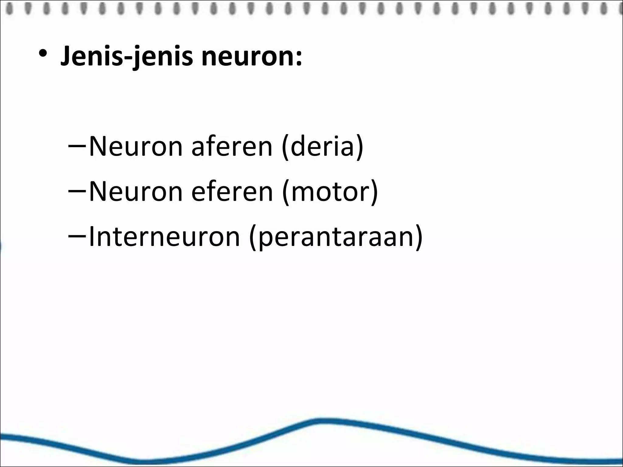 Power Point Anatomi & Fisiologi (Sistem Saraf) | PPT