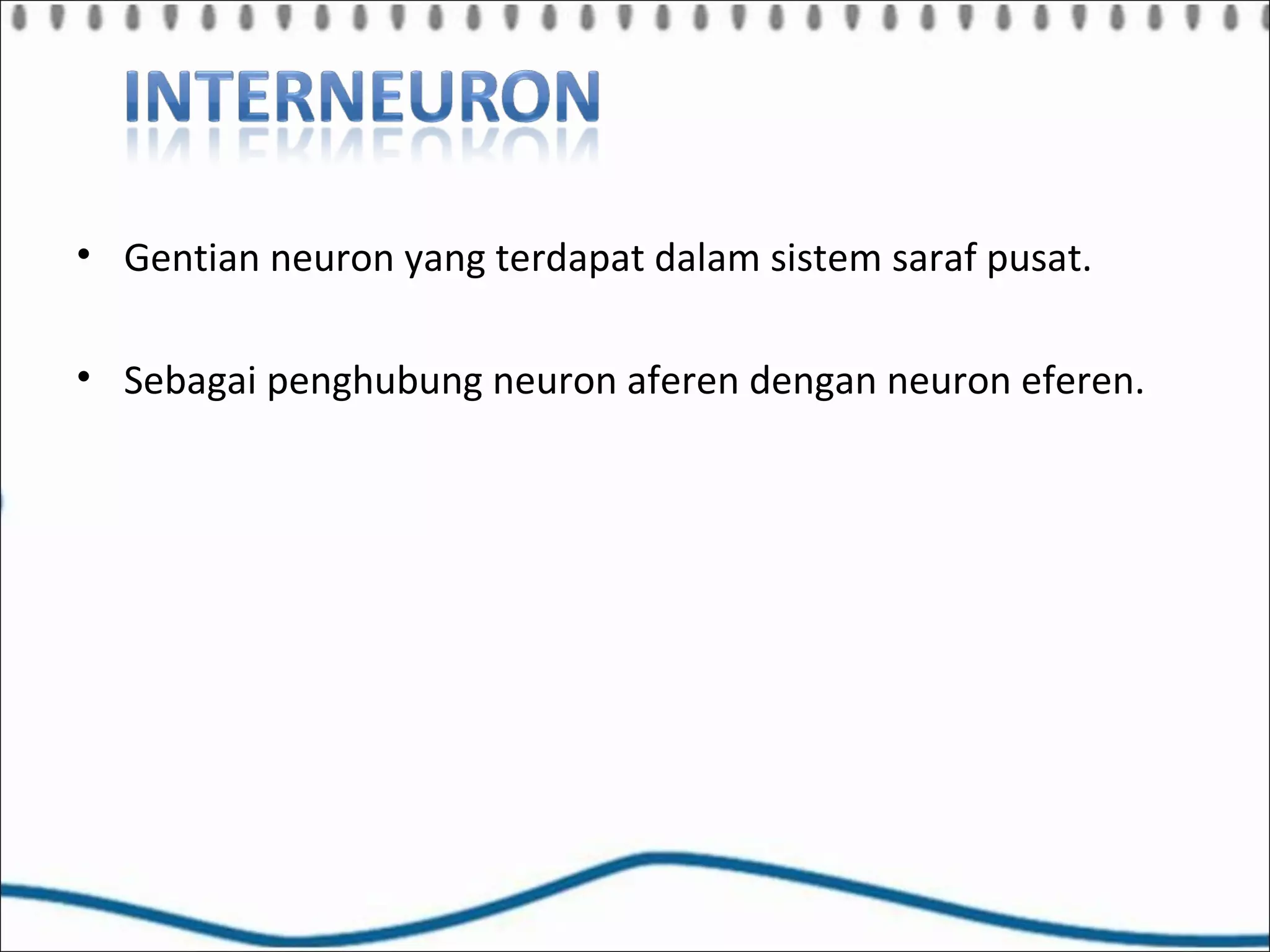 Power Point Anatomi & Fisiologi (Sistem Saraf) | PPT