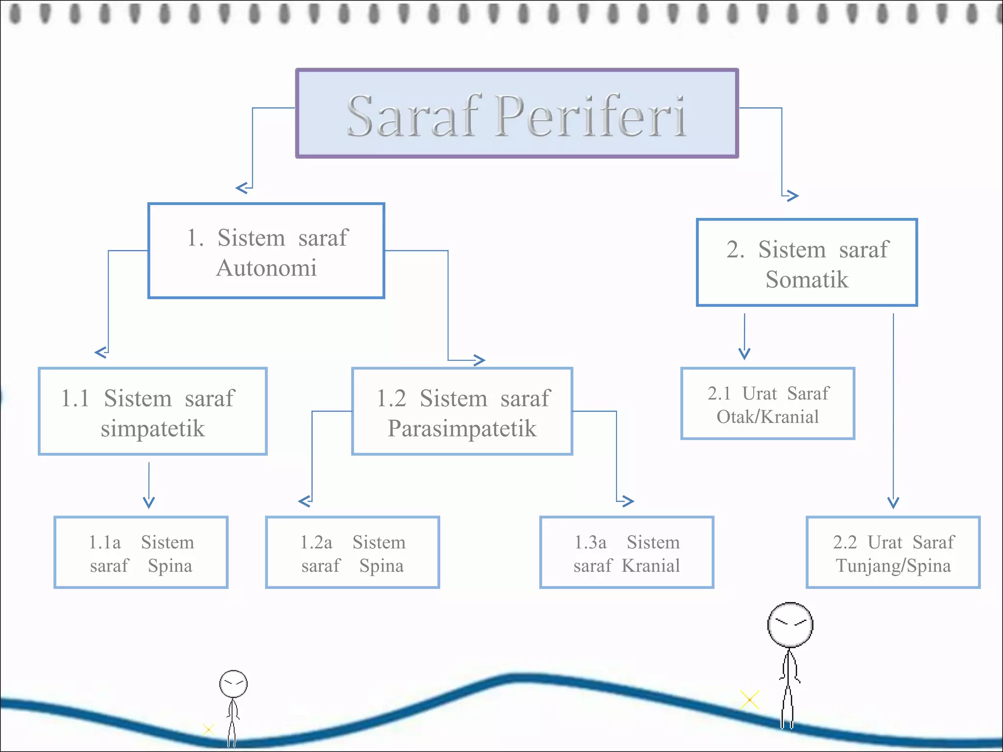 Power Point Anatomi & Fisiologi (Sistem Saraf) | PPT