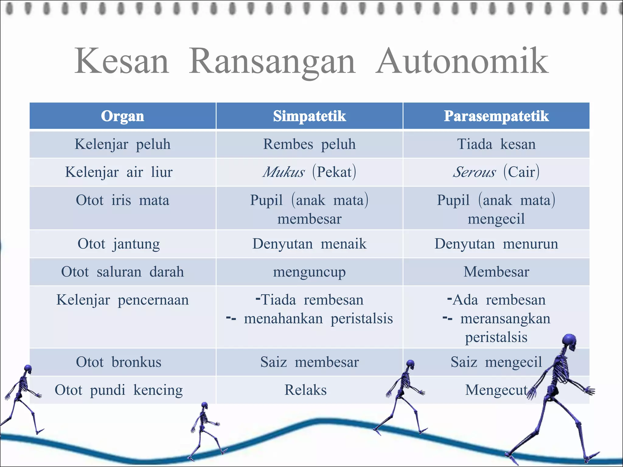 Power Point Anatomi & Fisiologi (Sistem Saraf) | PPT