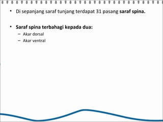 Power Point Anatomi & Fisiologi (Sistem Saraf) | PPT