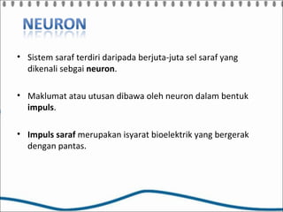 Power Point Anatomi & Fisiologi (Sistem Saraf) | PPT