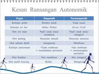 Power Point Anatomi & Fisiologi (Sistem Saraf) | PPT