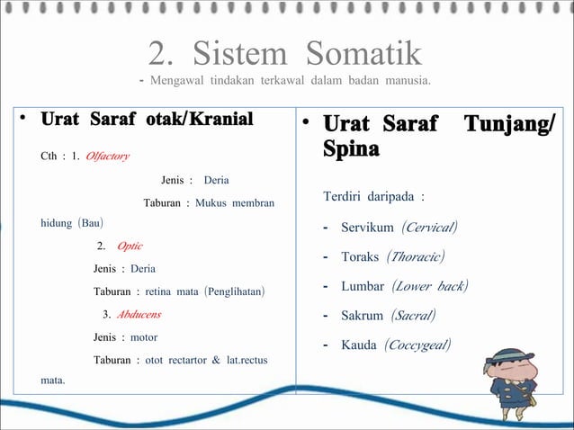 Power Point Anatomi & Fisiologi (Sistem Saraf) | PPT