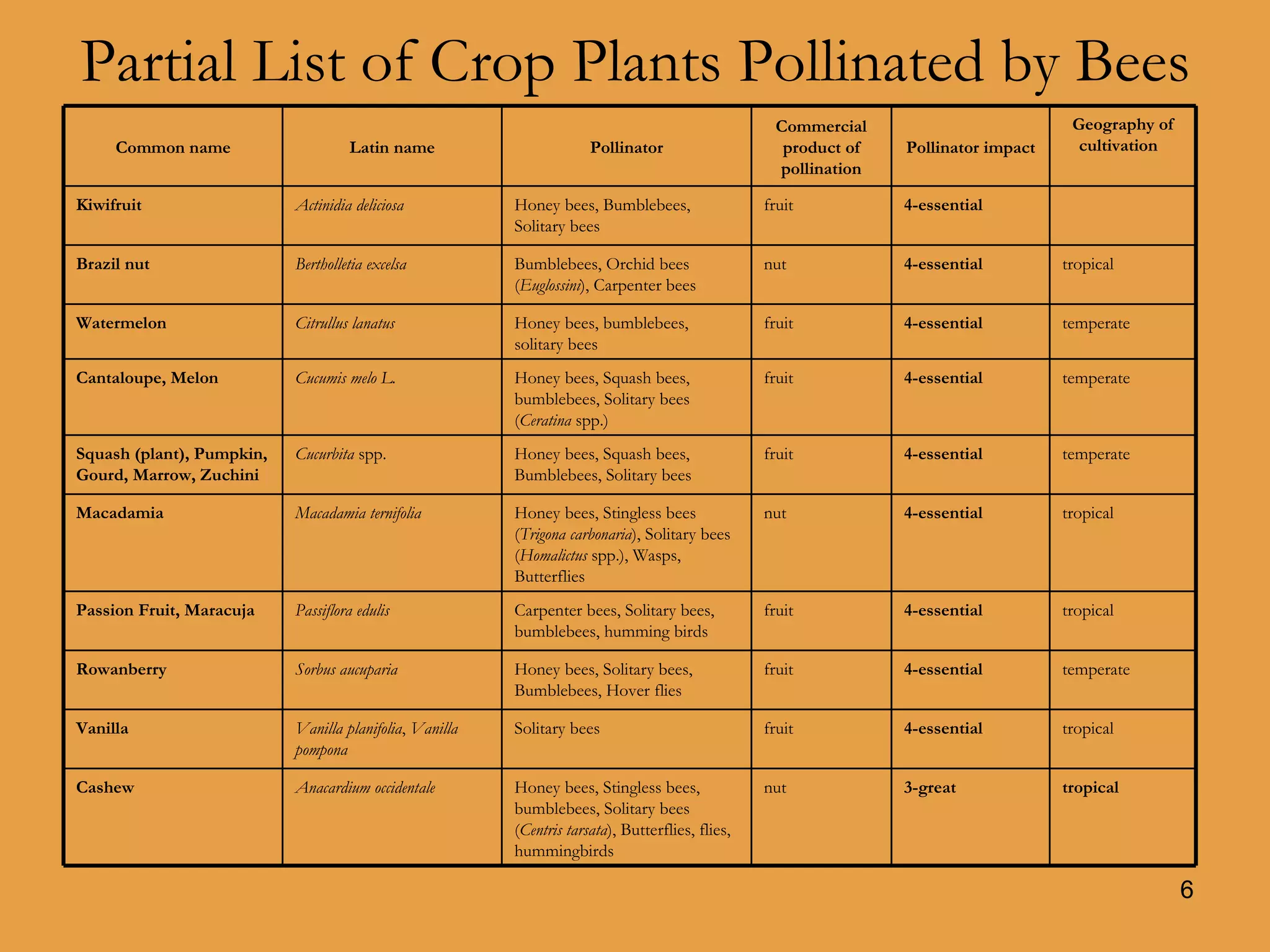 Bees, Pollination & Honey | PPT
