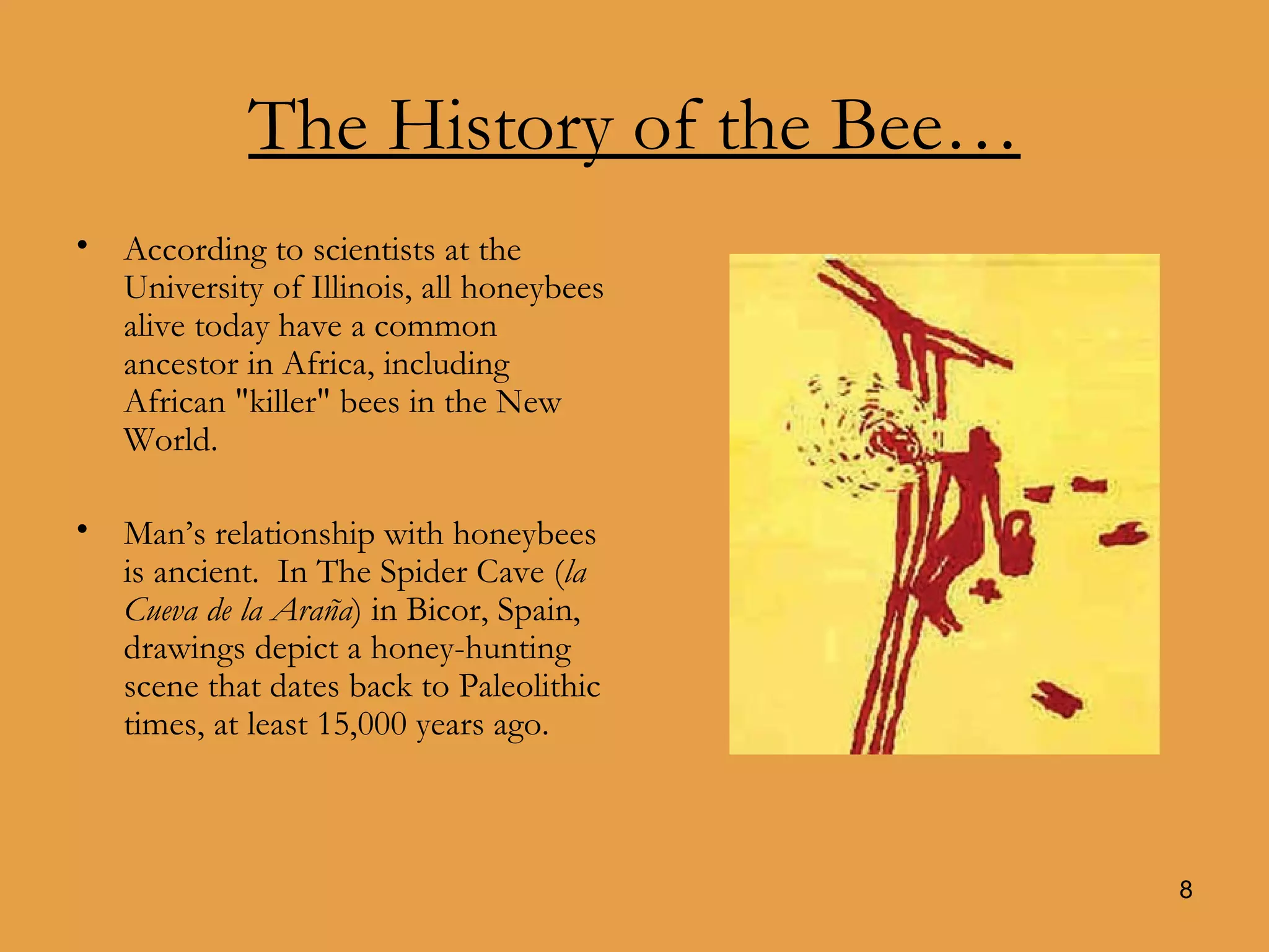 Bees, Pollination & Honey | PPT