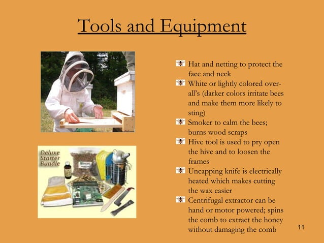 Bees, Pollination & Honey | PPT