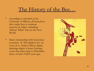 Bees, Pollination & Honey | PPT