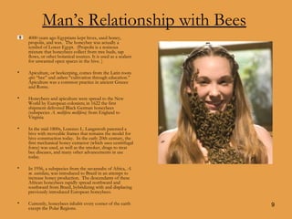 Bees, Pollination & Honey | PPT