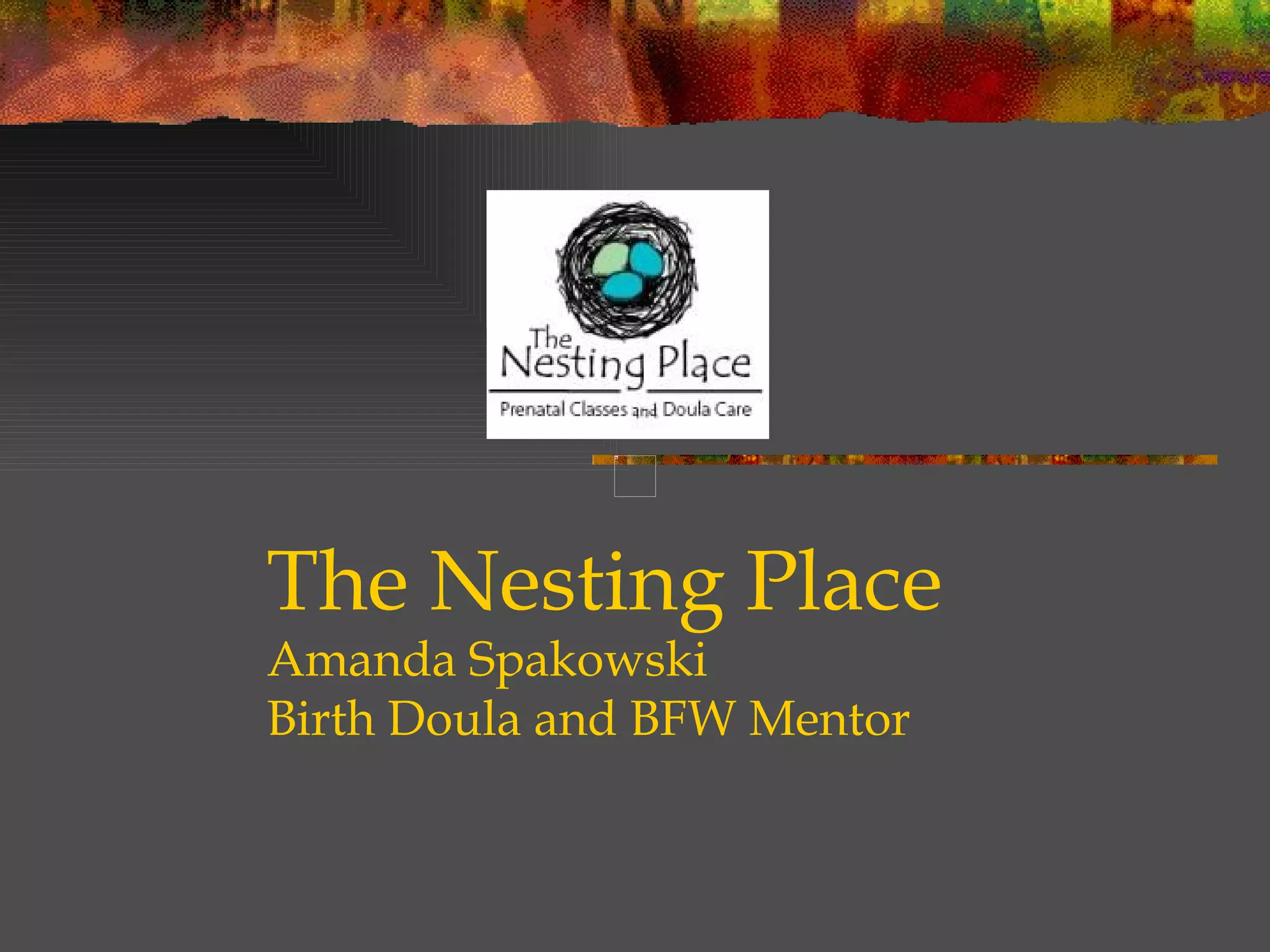 Birthing From Within | PPT