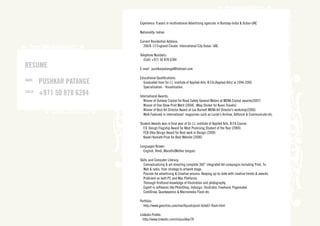 Pushkar Portfolio Sample | PPT