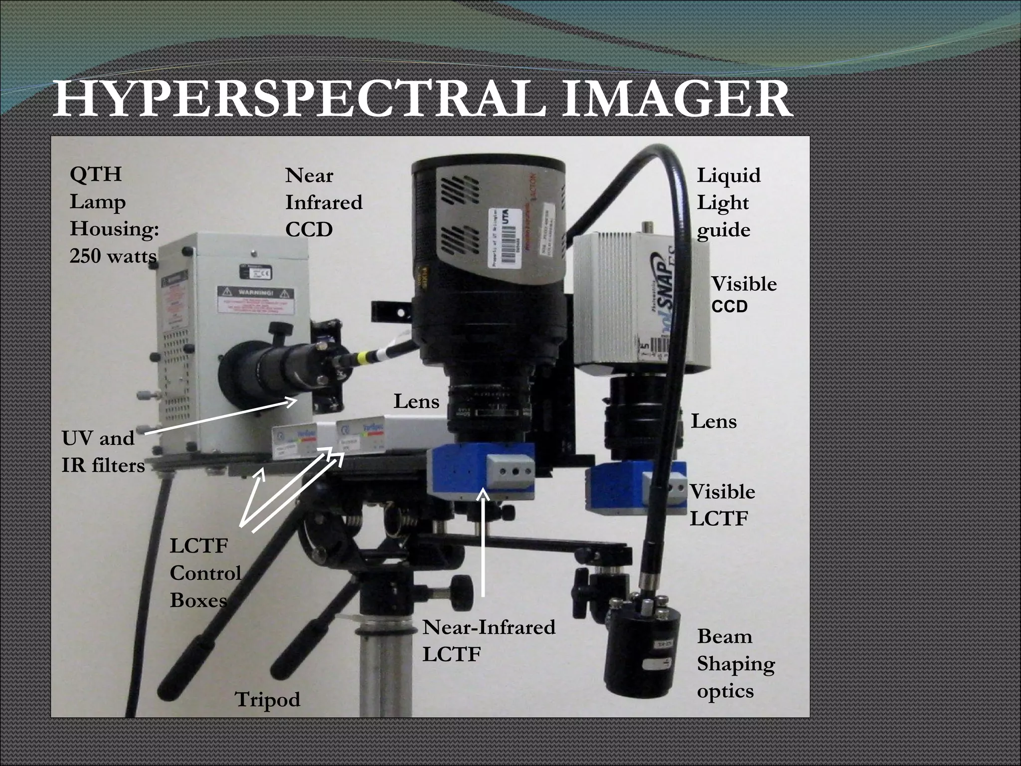 Visible Hyperspectral Imaging: Visualizing the Neurological and ...