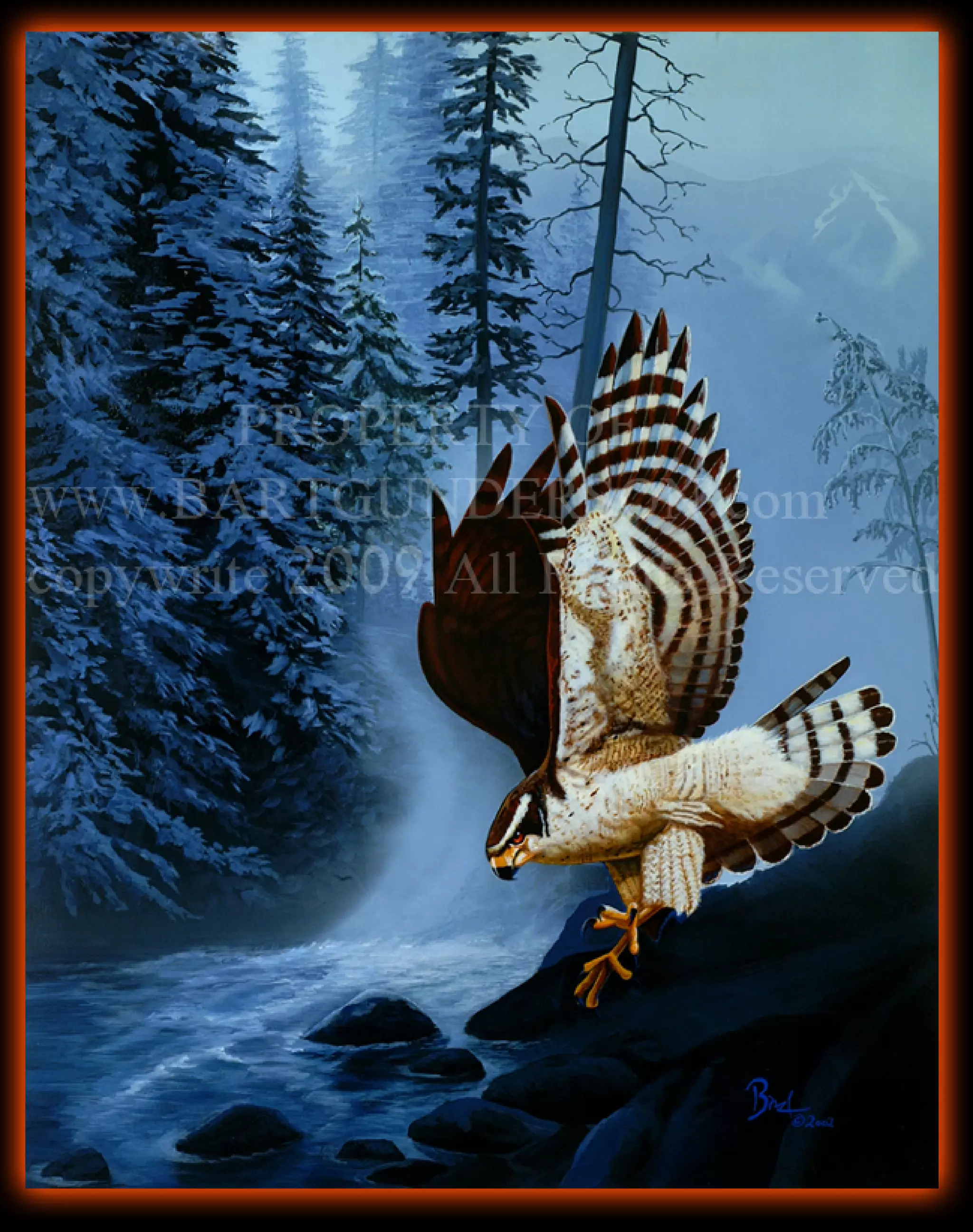 Red Tail Hawk 2 | PDF