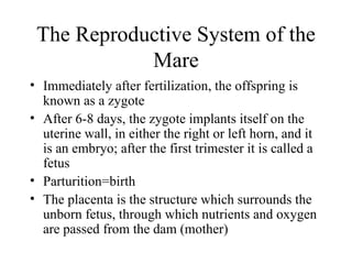 Reproduction | PPT