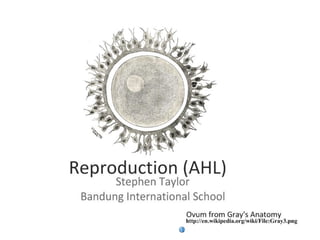 Reproduction (AHL) | PPT