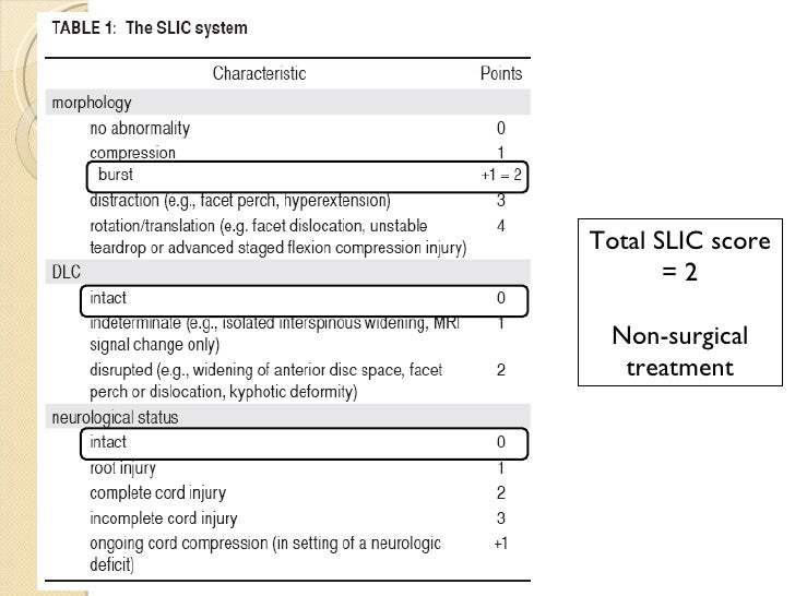 Slic System