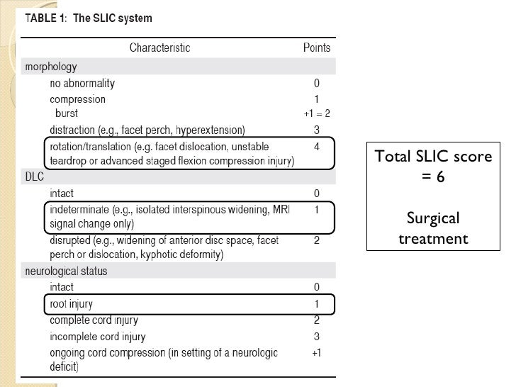 Slic System