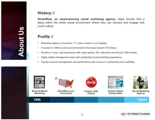 StreetWise Company Overview | PDF