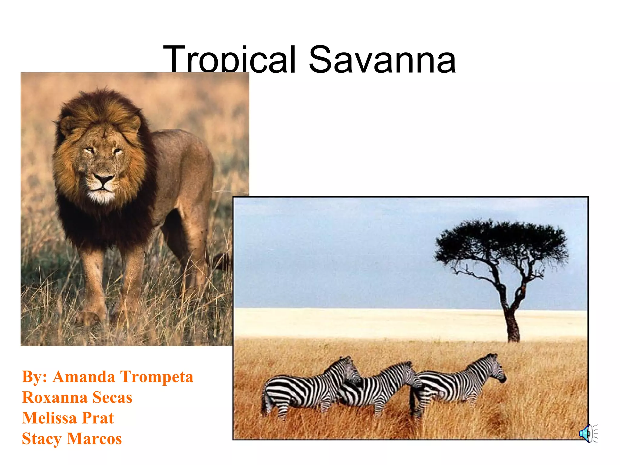 Tropical Savanna Biome | PPT