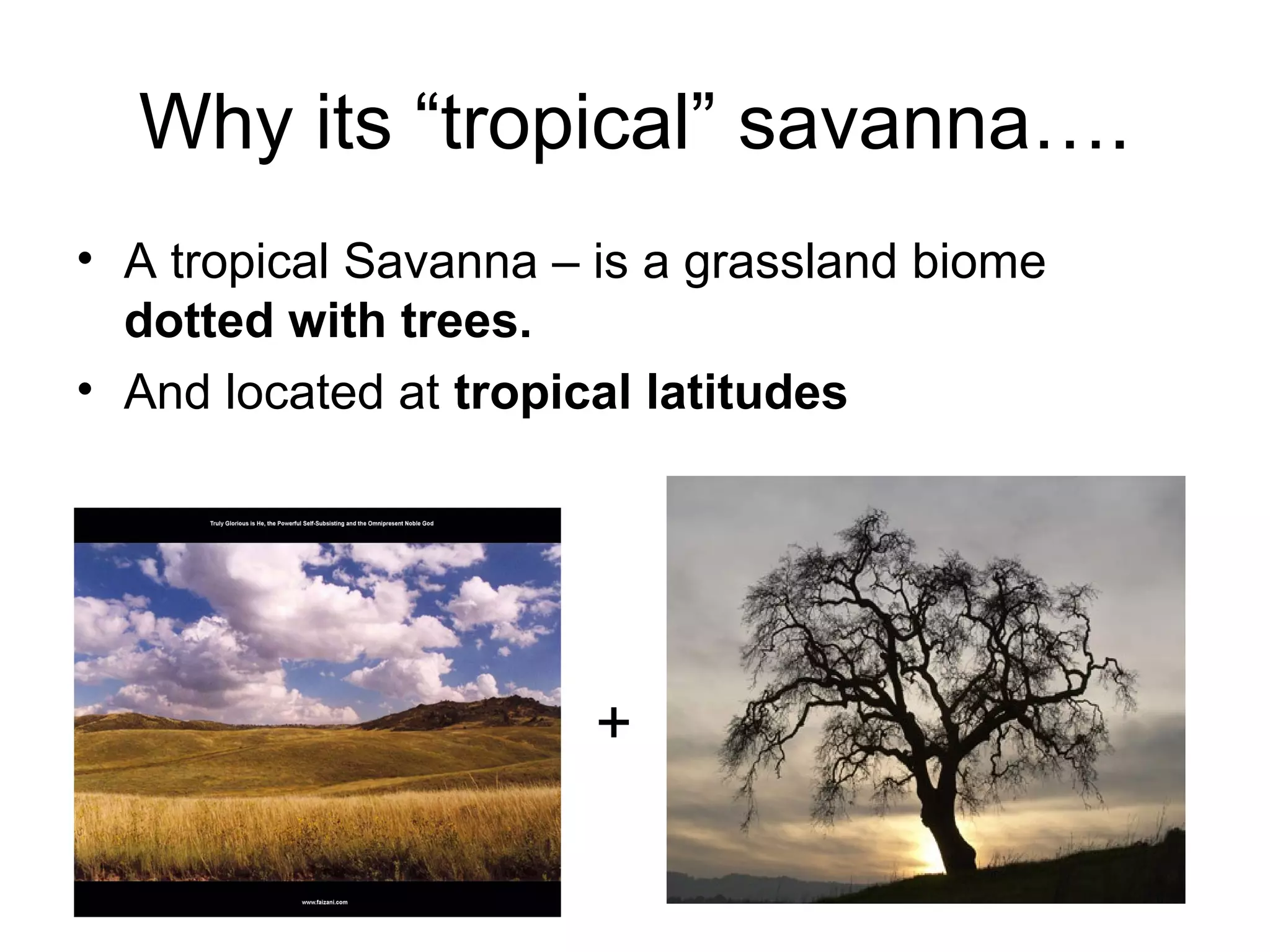 Tropical Savanna Biome | PPT
