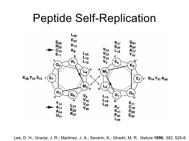 Self-replicating Molecules: An introduction