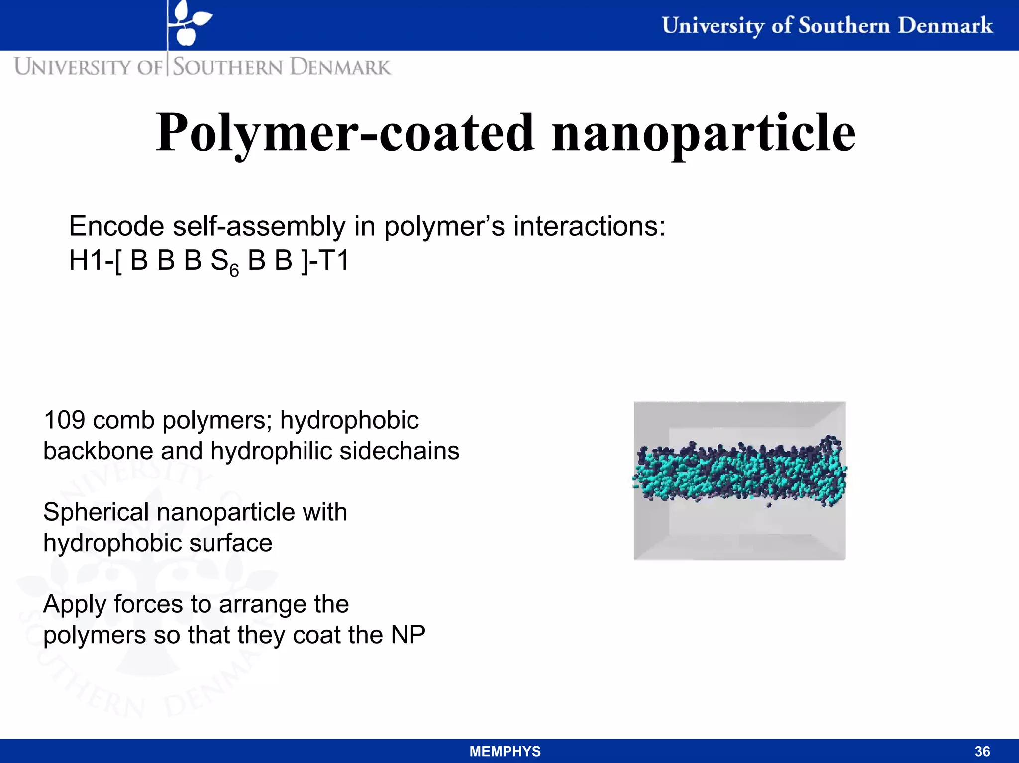 Computational Modeling Of Biophysical Processes In A Cell Ppt