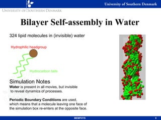 Computational Modeling of Biophysical Processes in a Cell | PPT
