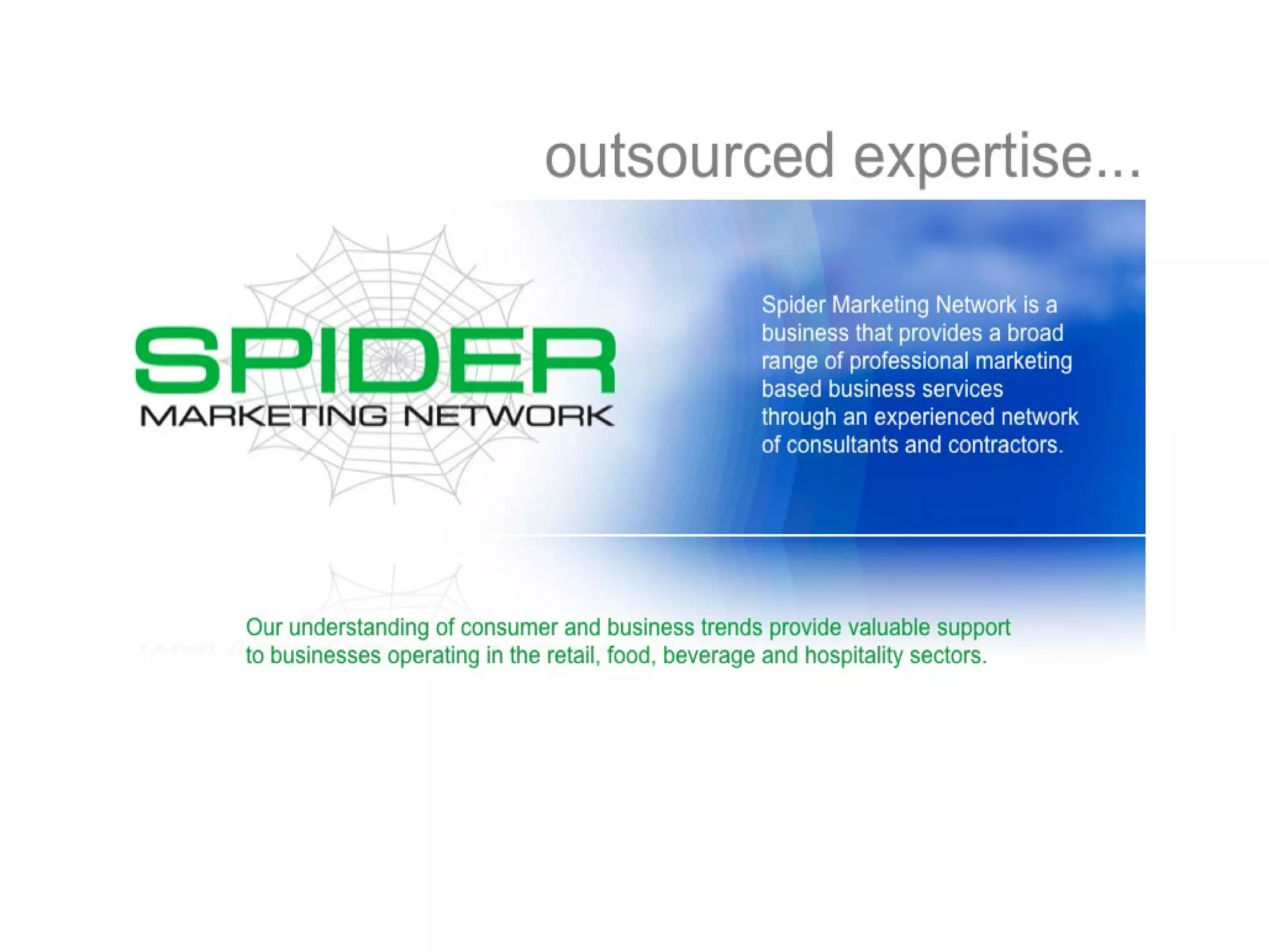 Spider Marketing Presentation 2009 | PPT