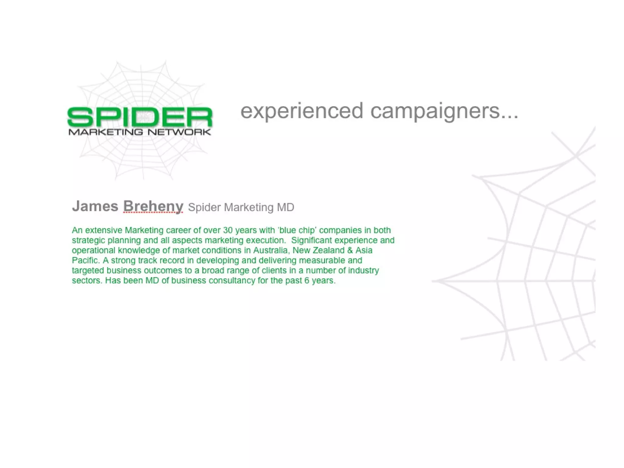 Spider Marketing Presentation 2009 | PPT