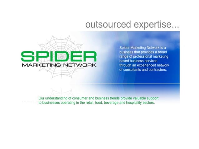 Spider Marketing Presentation 2009 | PPT
