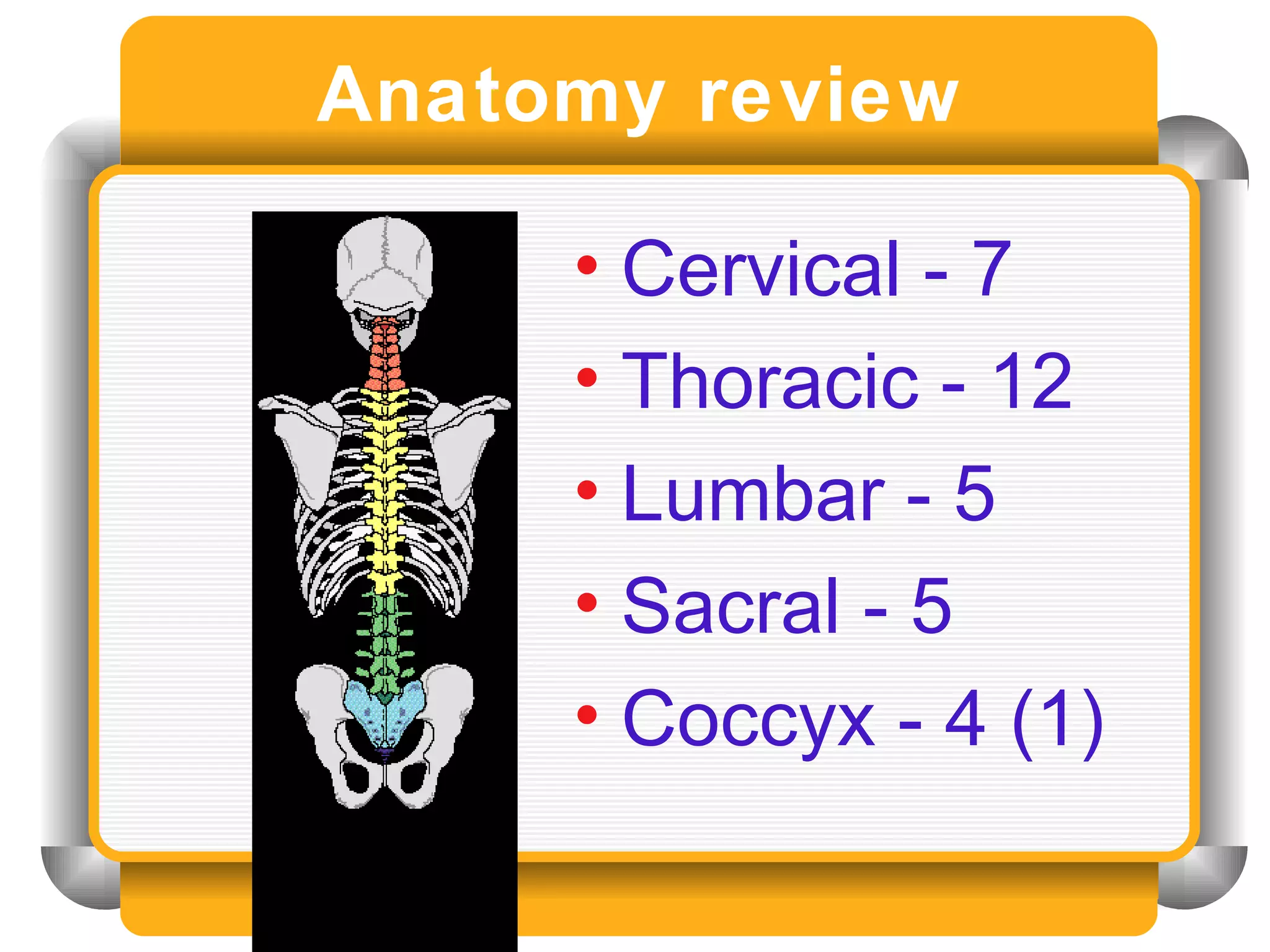 Spinal Trauma | PPT