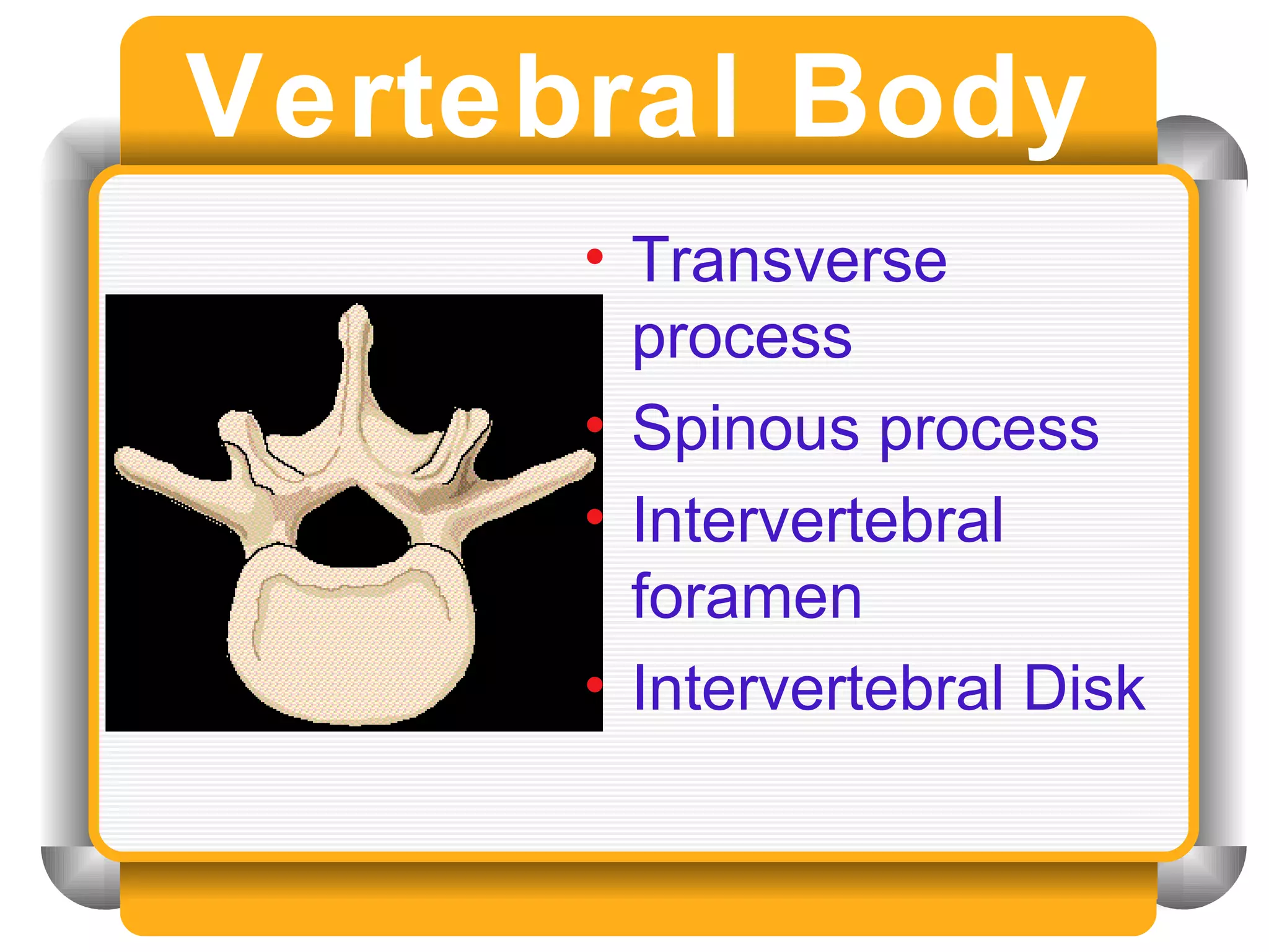 Spinal Trauma | PPT