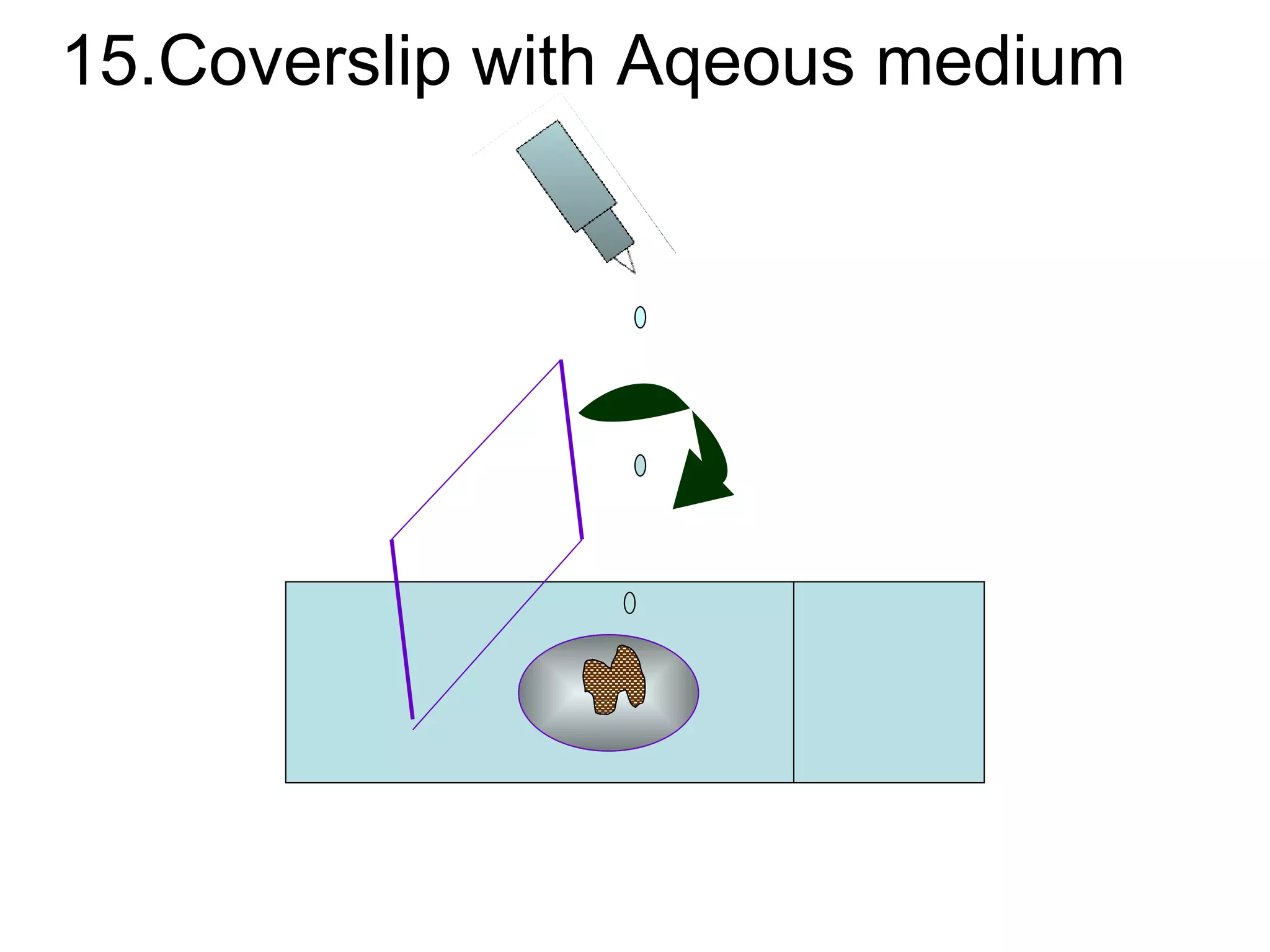 Immunohistochemistry (IHC)Staining Steps | PPT