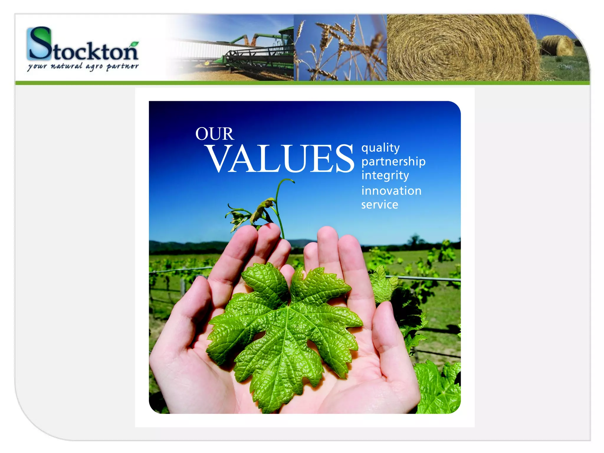 Stocktons Mission Statement, Values And Vision | PPT