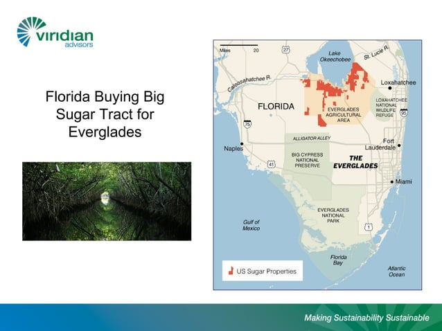 The Basics Of Natural Capitalism | PPT | Green Solutions | Business