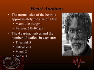 The Cardiac Cycle7 | PPT