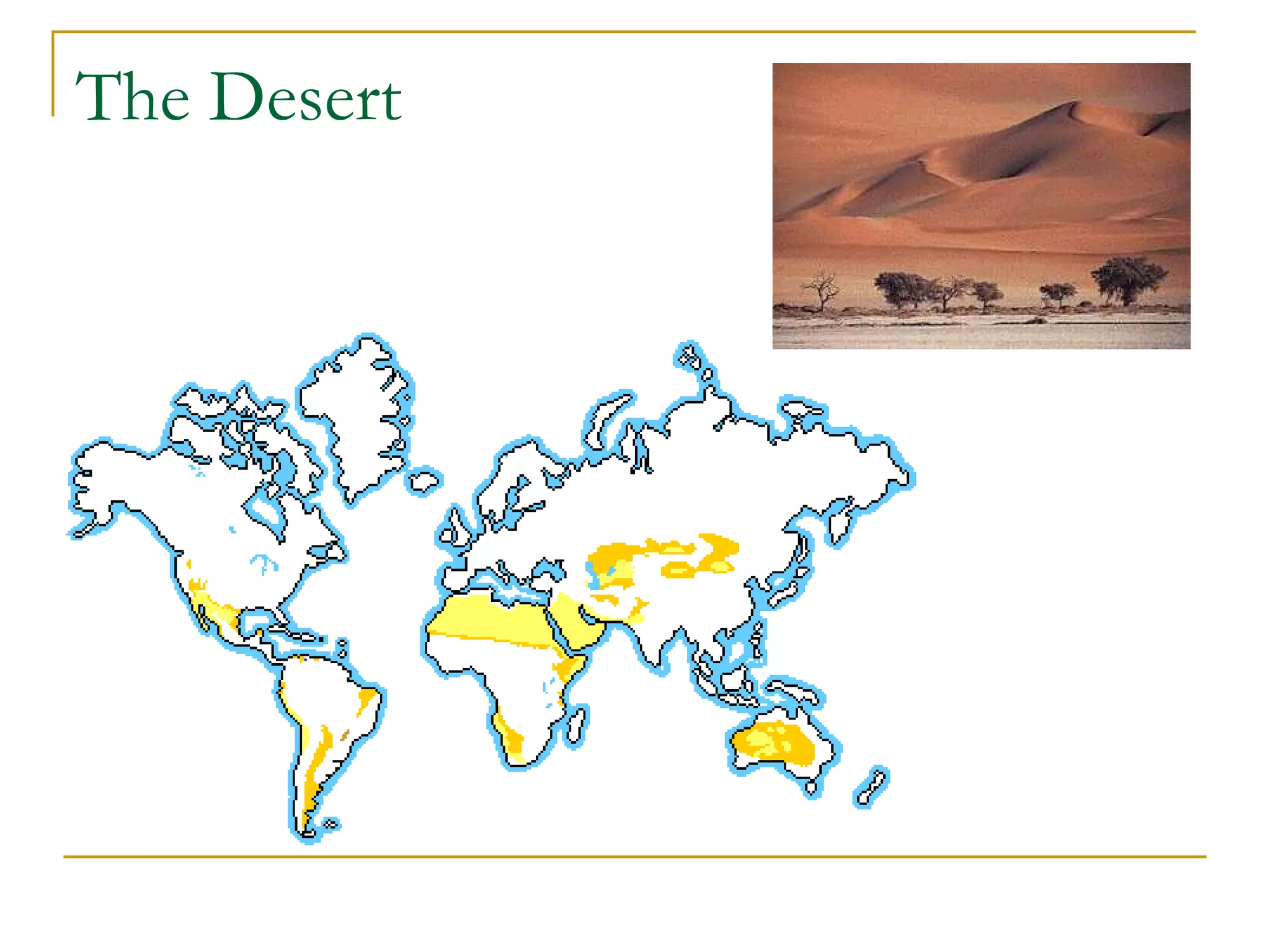 The Desert Biome | PPT