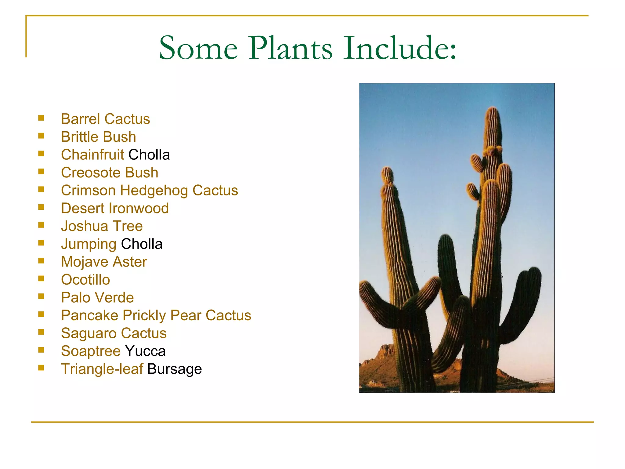 The Desert Biome | PPT