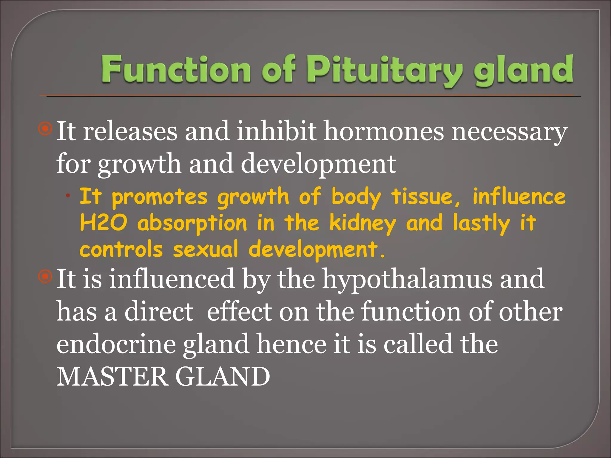 The Endocrine System | PPT