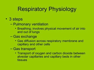 The Respiratory System | PPT